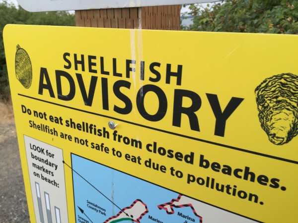 Heat and Low Tides Trigger Spike in Shellfish Infections | Classic Rock ...