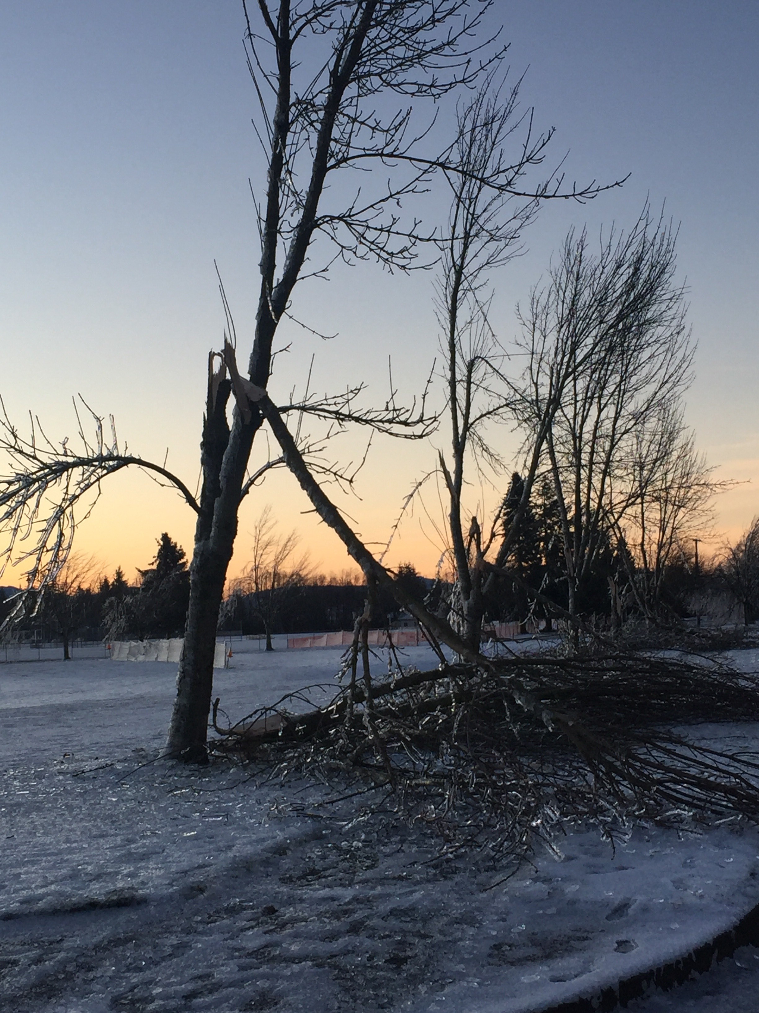 More than 600 still without power in Lynden, Everson and Sumas after ...