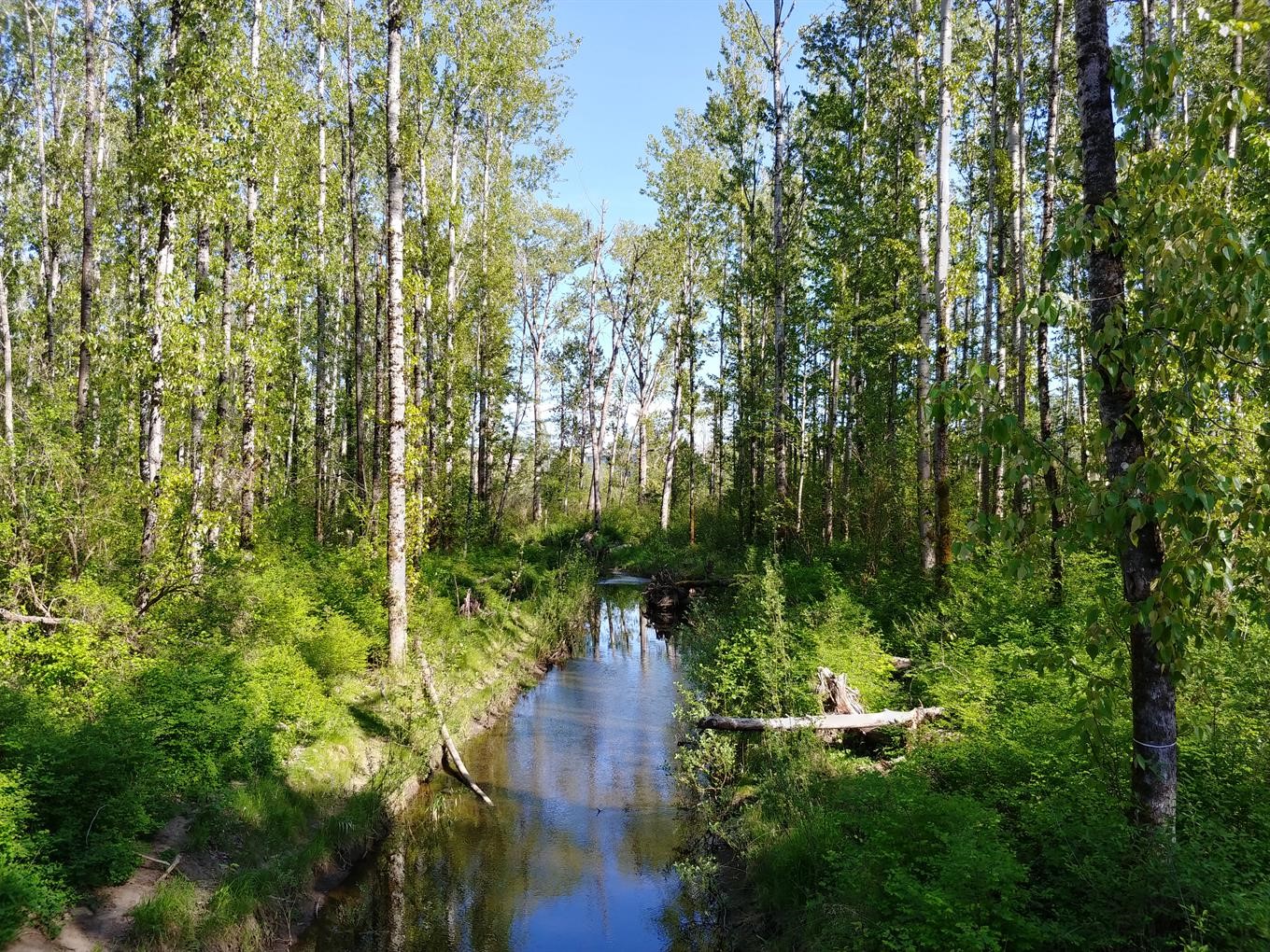 Squalicum Creek Re-route project continues this month, impacting ...