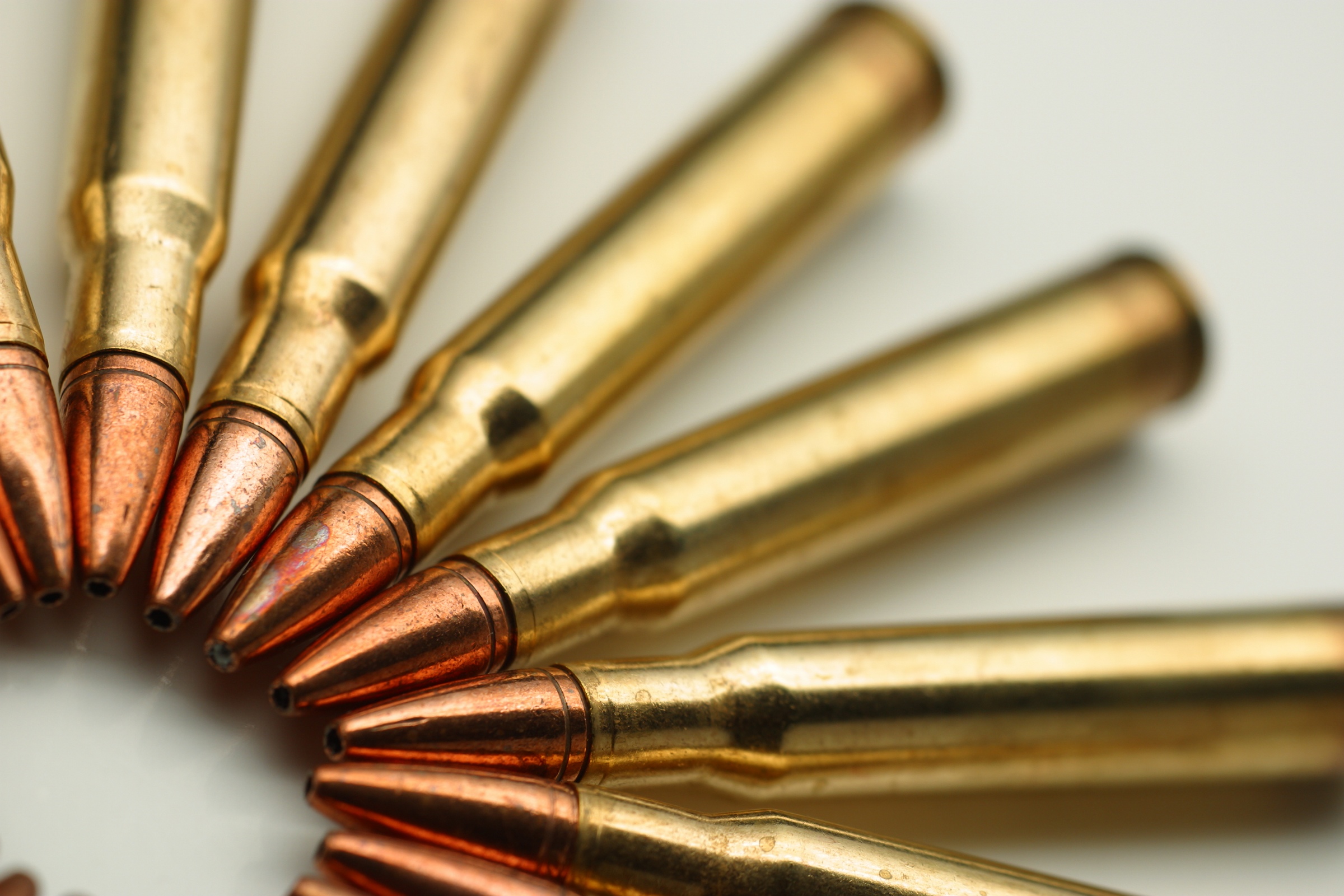 Public comments open on clean-up of Whatcom County rifle range ...