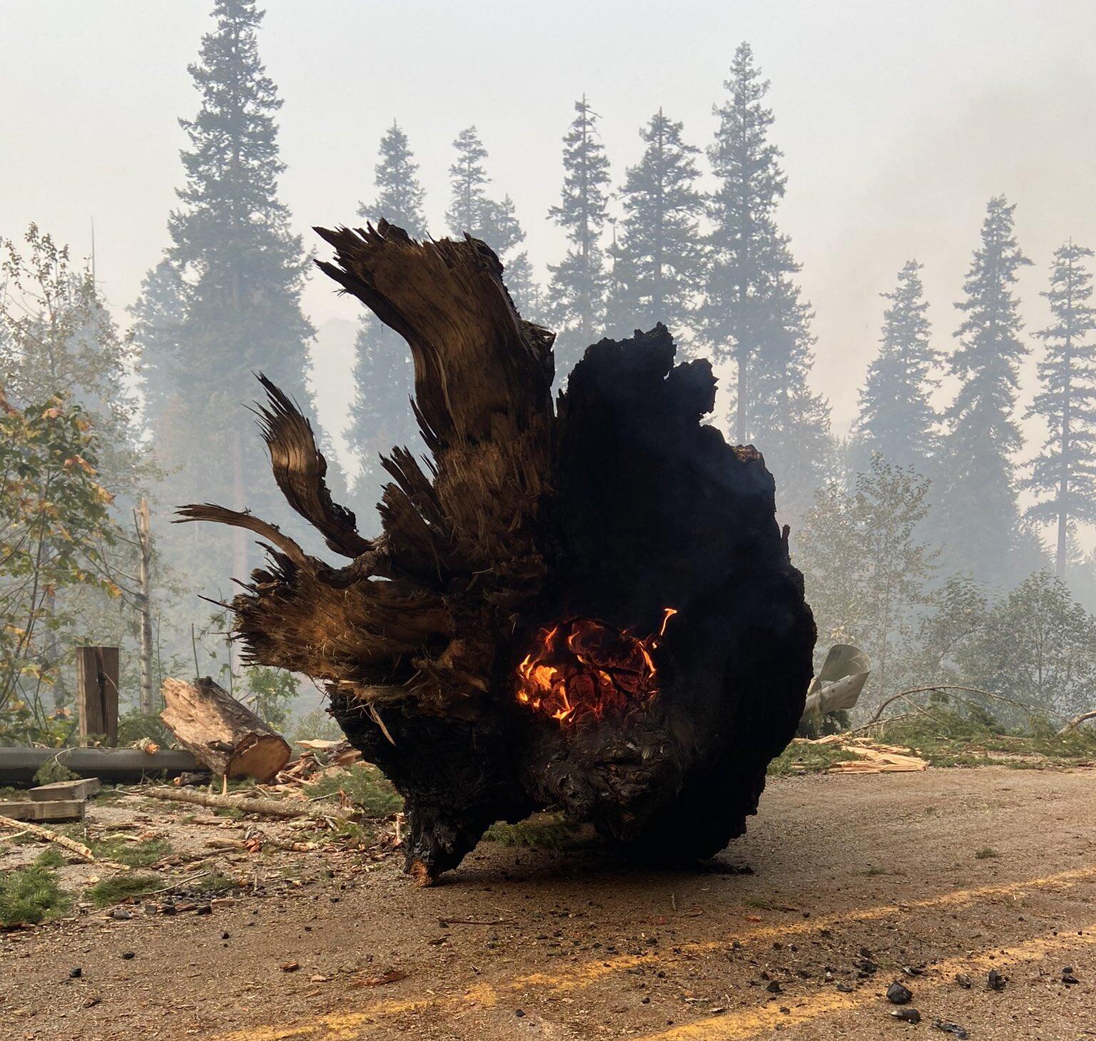 Highway 2 closed for removal of large burning tree | Classic Rock 92.9 KISM