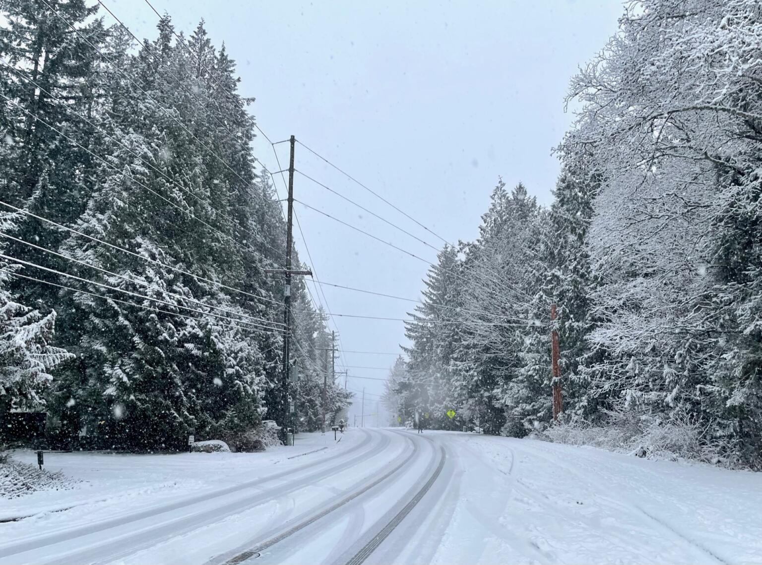 Bellingham Schools release winter weather resources, snow route details ...