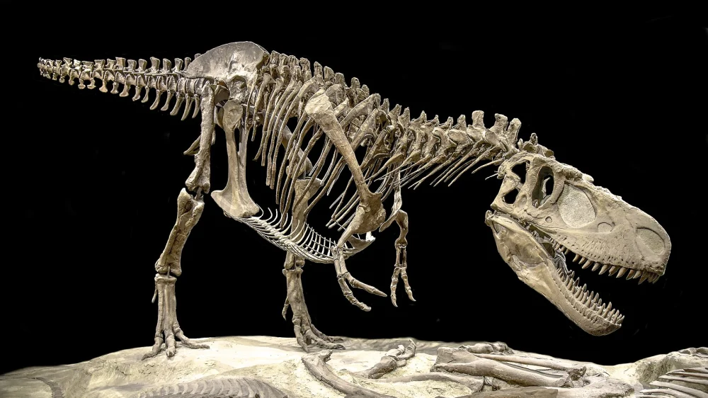 Washington officially names state dinosaur | Classic Rock 92.9 KISM